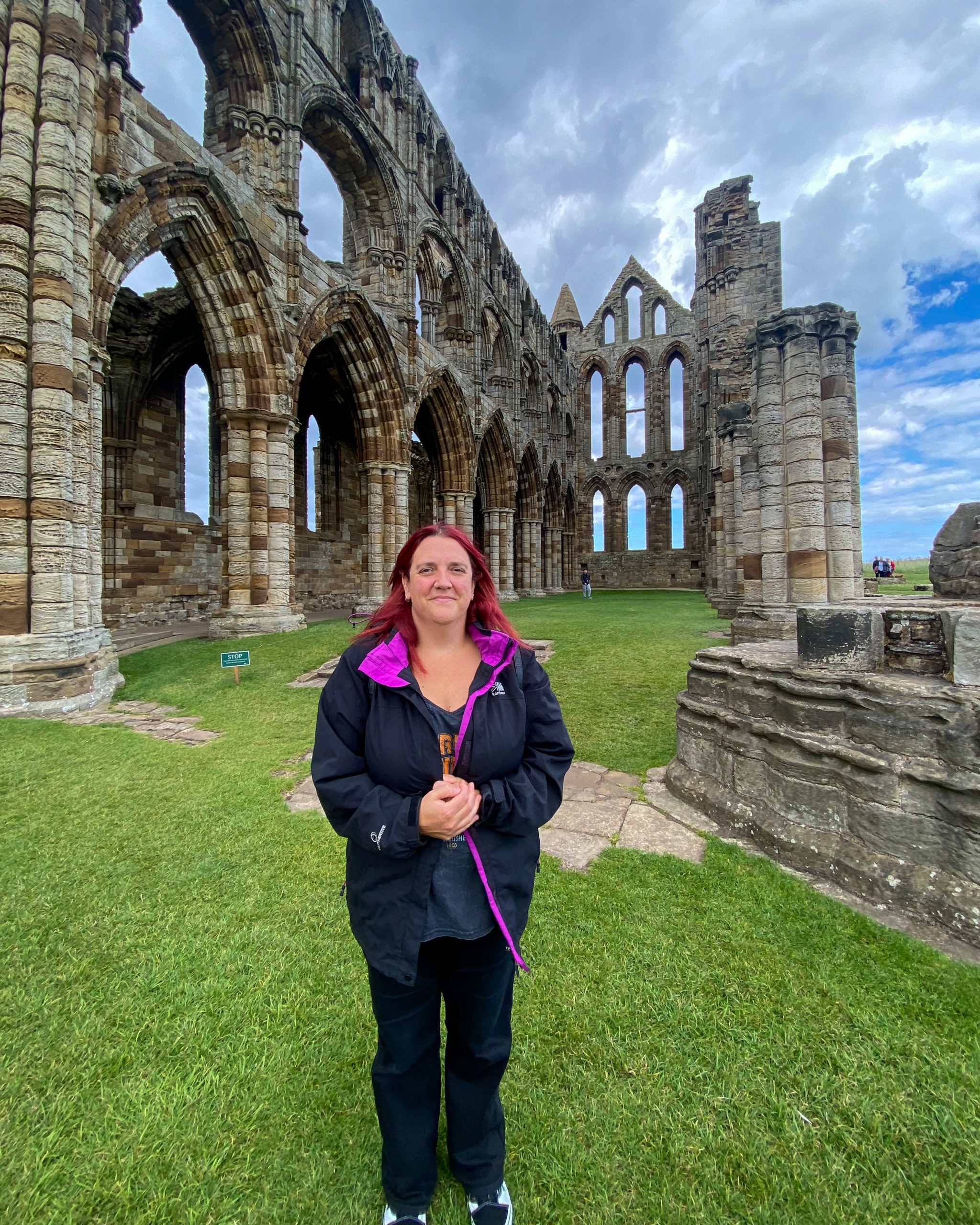 Work in Progress – Robb Sutherland